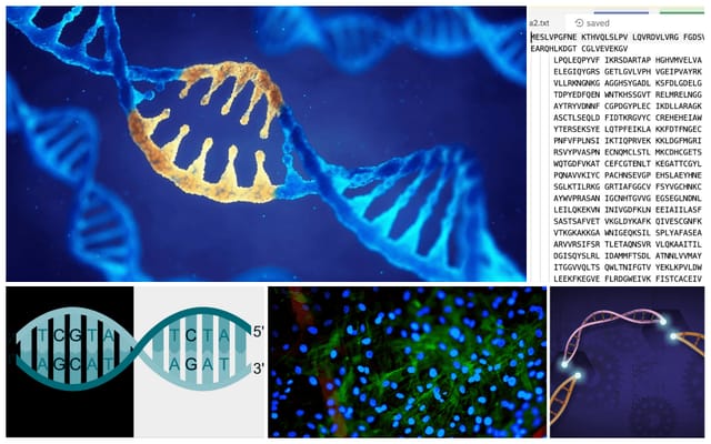 Python for Kids and Teens: Fun Introduction to Programming - Create & Learn