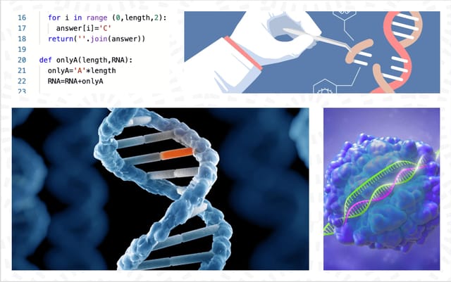 Python for Kids and Teens: Fun Introduction to Programming - Create & Learn